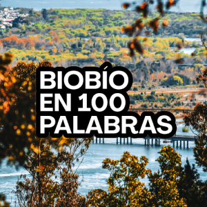 En 100 Palabras – Fundación Plagio